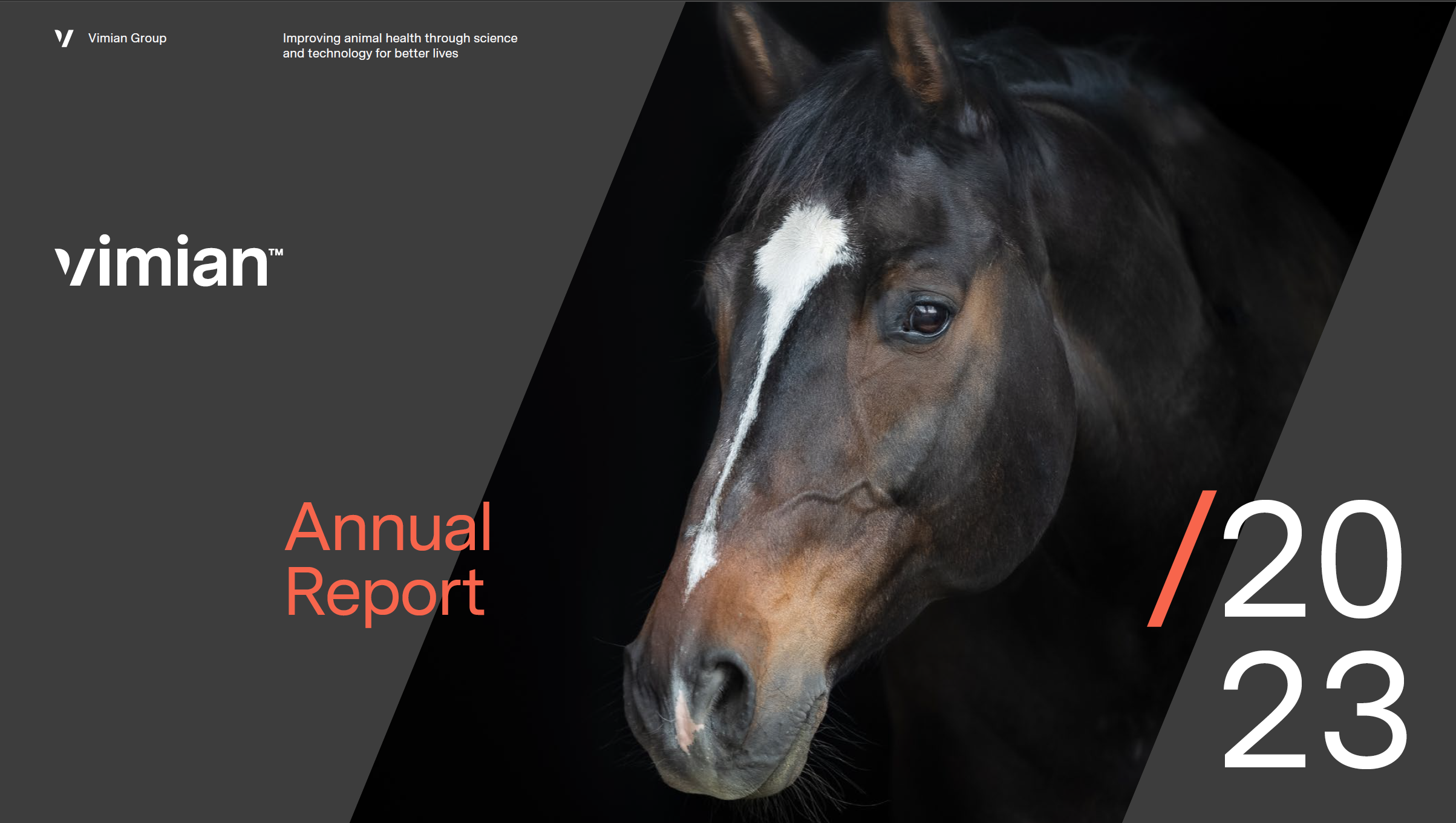 Annual Report 2023 - Vimian